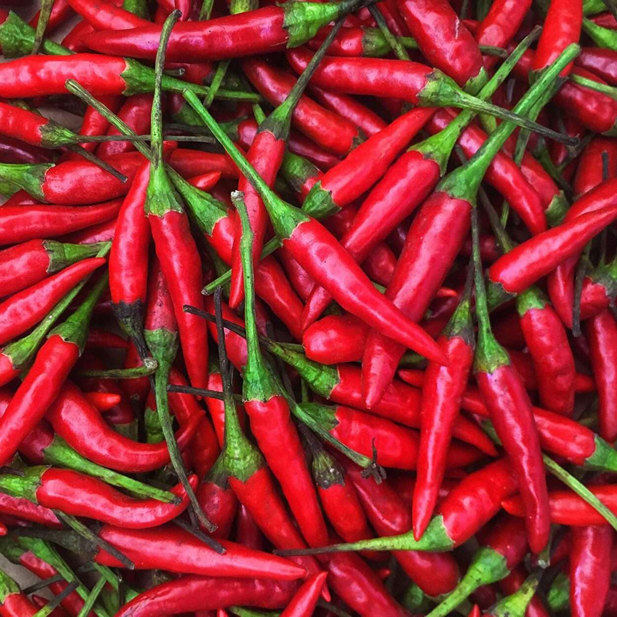 Ultimate Guide to Making Thai Chili Oil